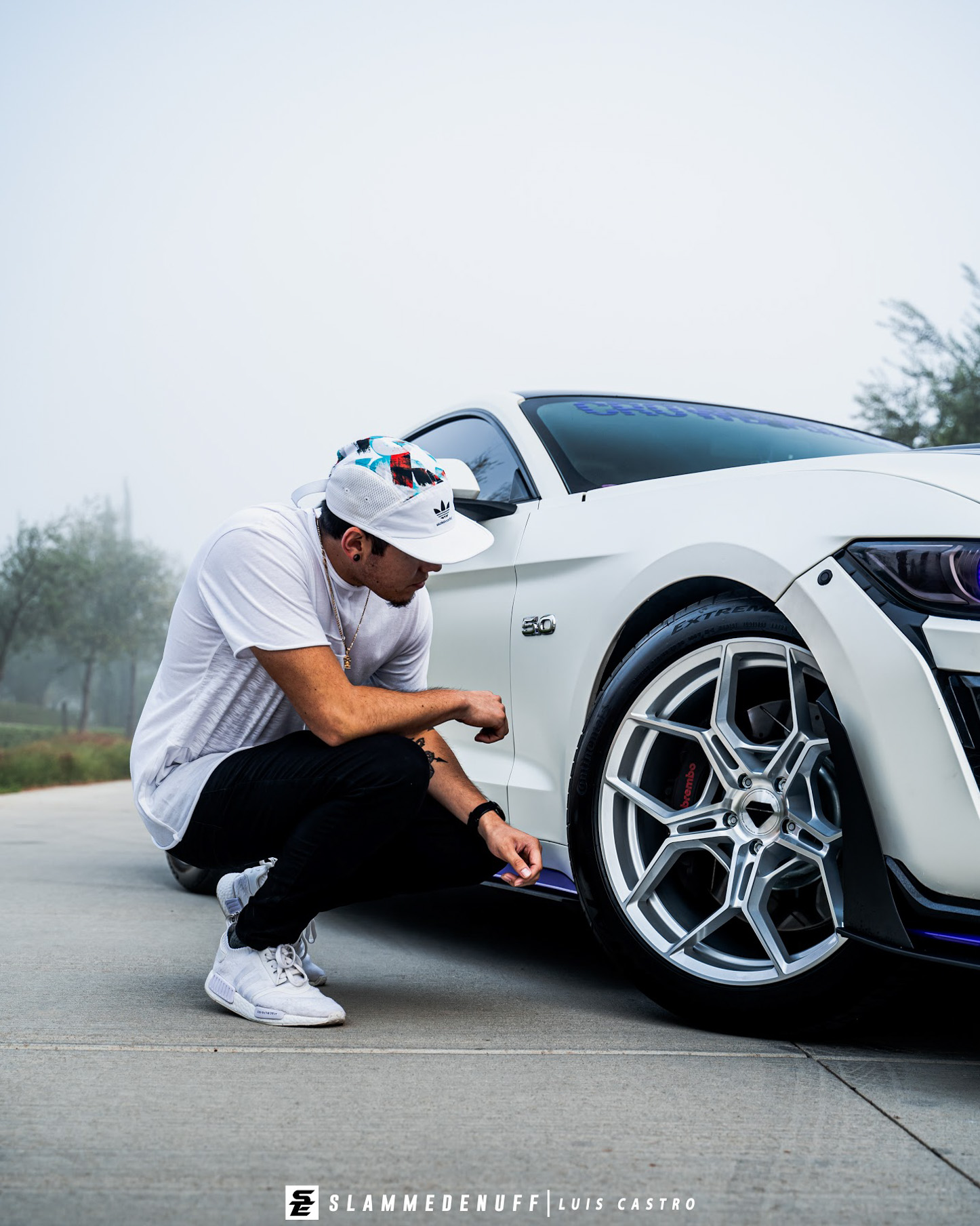A 2015 Ford Mustang GT on 20 Inch Blaque Diamond BD-F25 Brushed Silver ...