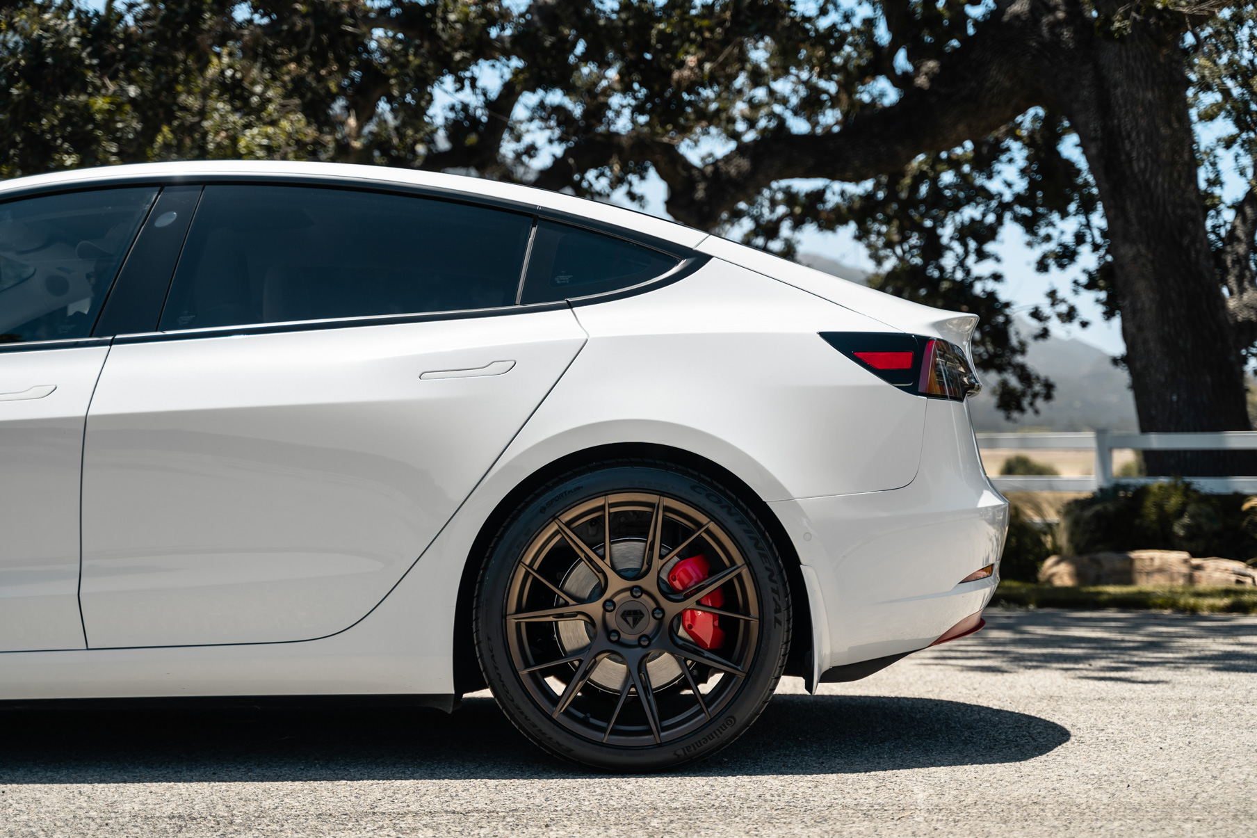 2019 Tesla Model 3 | BD-F18 Antique Matte Bronze
