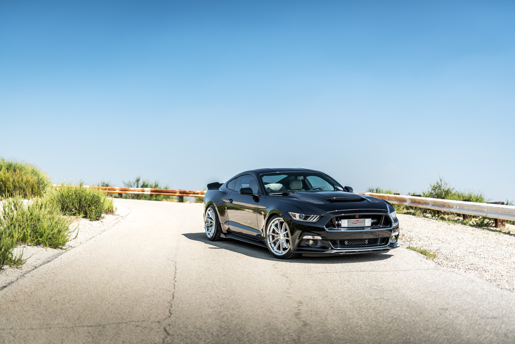A 2015 Ford Mustang GT Chip Foose Edition on Staggered Blaque Diamond ...
